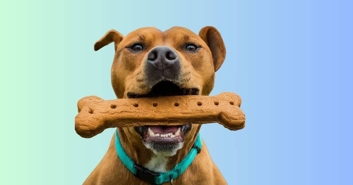 Can Dogs Eat Scooby Snacks? Unveiling the Mystery of the Beloved Treat